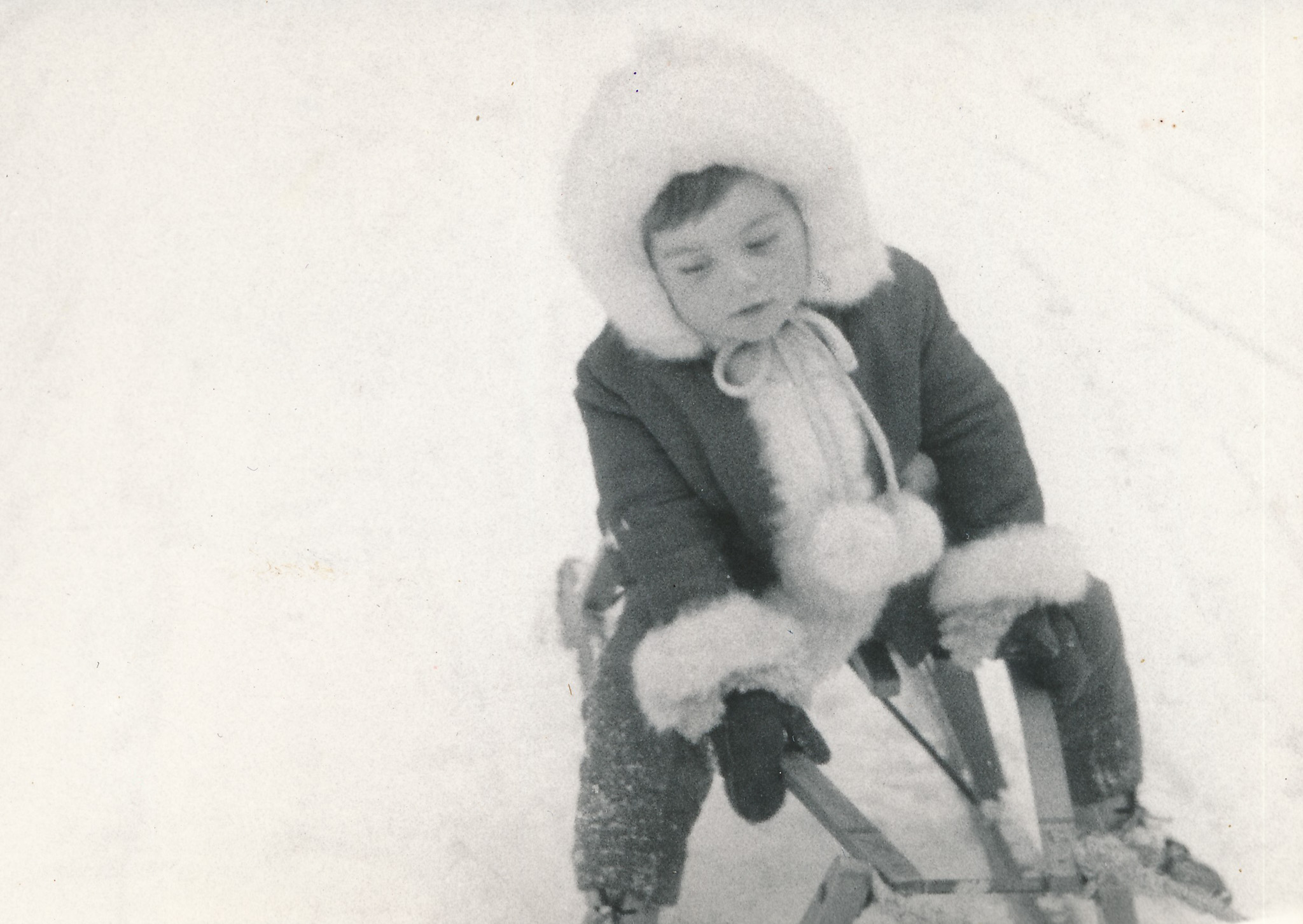 Krystyna Krauze (1967)